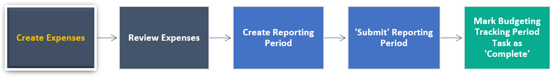 Recording Expenses & Submitting Reporting Period (Budgeting Tracking ...